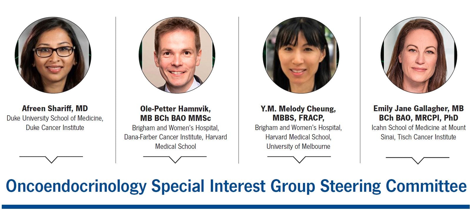 The Seventh SIG: Oncoendocrinology - Endocrine News