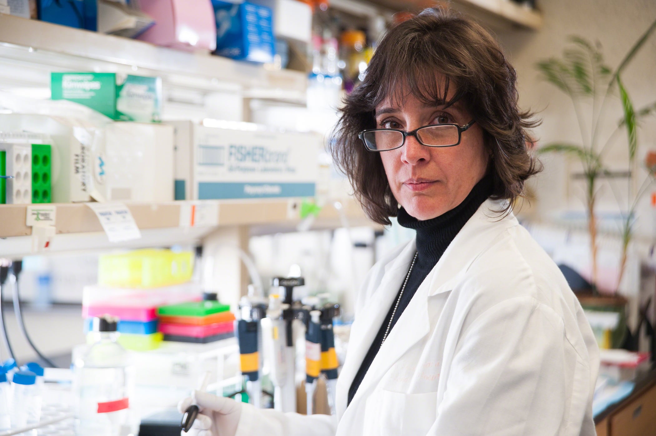 Conquering Cancer: How a Newly Discovered Mutation Could Be a Game ...